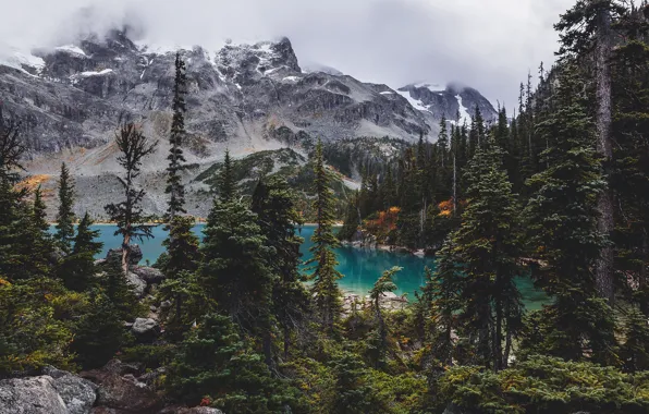 Download wallpaper the sky, trees, mountains, nature, lake, rocks, Canada, British Columbia ...