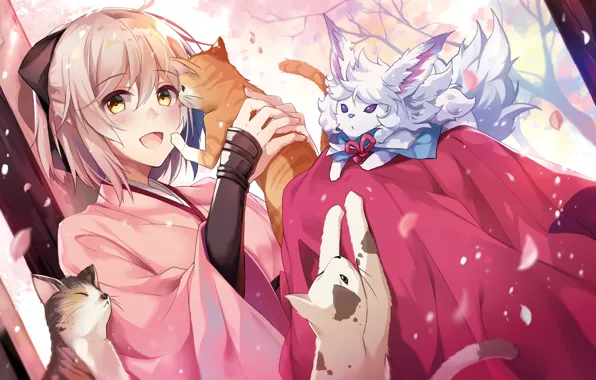 Download wallpaper animals, girl, anime, Fate / Grand Order, section ...