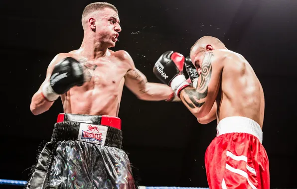 Wallpaper sport, Boxing, men images for desktop, section спорт - download