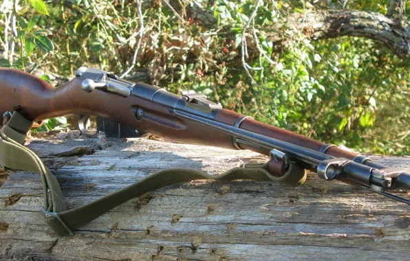 Download wallpaper weapons, rifle, 1945, Mosin, M44, Izhevsk, section ...