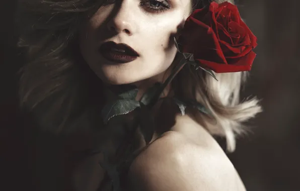 Wallpaper roses, makeup, sponge, Ilya Round for mobile and desktop ...
