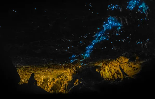 Download wallpaper fireflies, New Zealand, cave, Waitomo Glowworm Caves ...