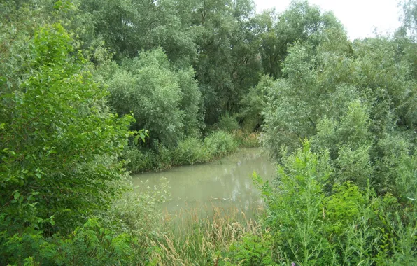 Wallpaper landscape, nature, beauty, Meduzanol ©, summer 2009 for ...