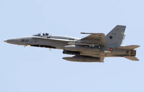 Wallpaper weapons, army, the plane, Boeing (MDC) EF-18M for mobile and ...