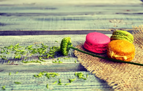 Wallpaper colorful, dessert, sweet, sweet, dessert, cookies, macaron ...