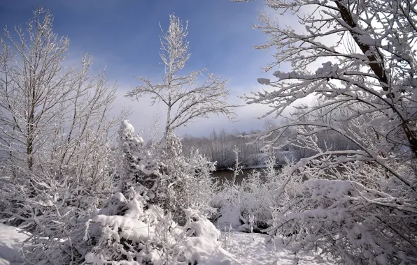 Wallpaper winter, landscape, nature, beauty for mobile and desktop ...