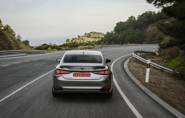 Wallpaper Lexus, Toyota, sedan, rear view, hybrid, Avalon, four-door ...