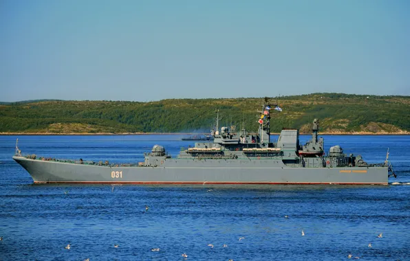 Download wallpaper ship, large, landing, the project 775, Alexander ...