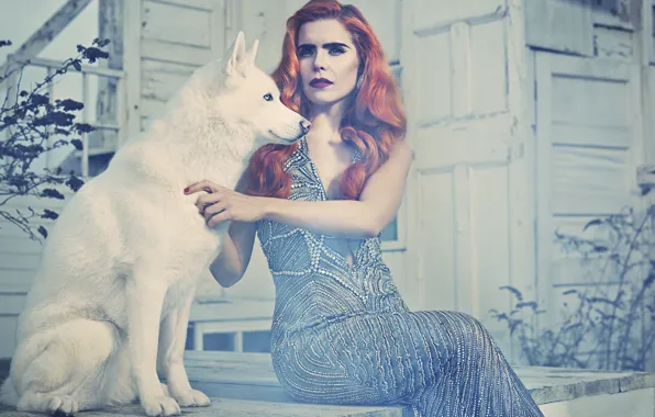Wallpaper singer, singer, Paloma Faith, Paloma Faith for mobile and ...