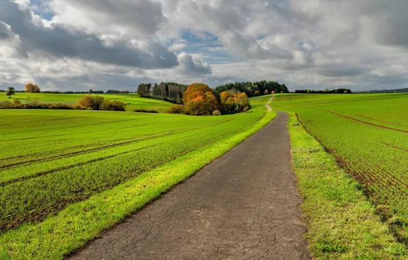 Wallpaper road, field, the sky, clouds, trees, nature, Germany for ...