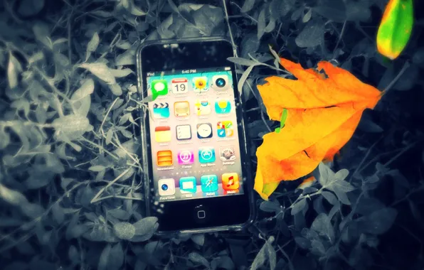 Wallpaper ipod, leaves, The, Between, touch for mobile and desktop ...
