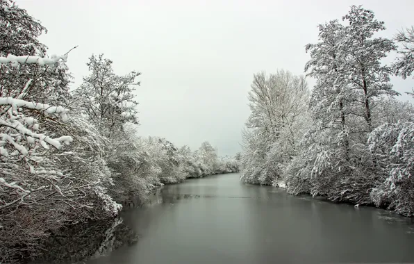 Download wallpaper winter, frost, snow, River, trees forest, section ...