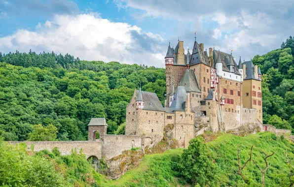 Download wallpaper forest, castle, Germany, architecture, Germany ...