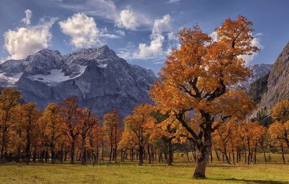 Wallpaper autumn, nature, beauty for mobile and desktop, section ...