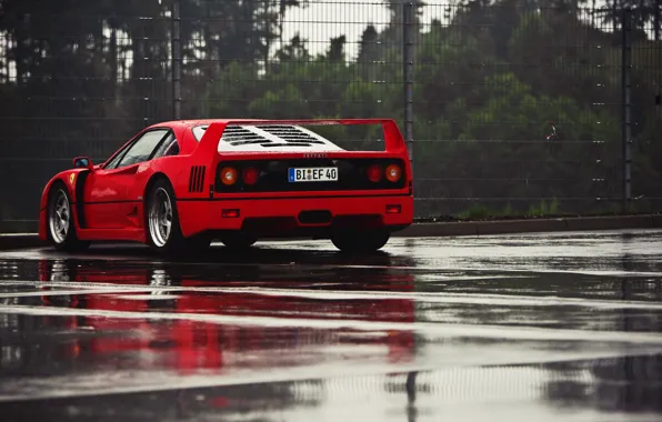 Download wallpaper Red, F40, Rear view, Puddles, section ferrari in ...