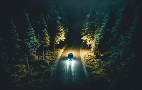 Download wallpaper car, forest, road, night, driving, section other in ...