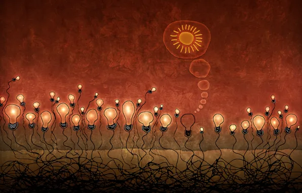 Wallpaper the sun, light, red, roots, people, desktop, Shine, genius ...