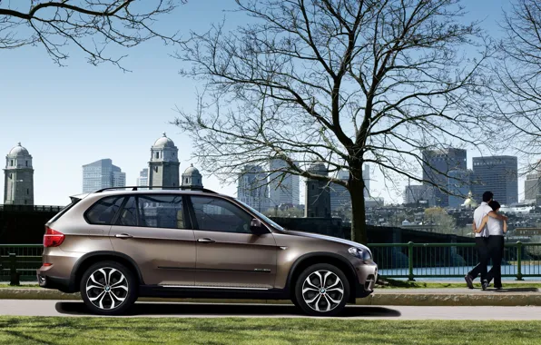 Wallpaper machine, nature, bmv for mobile and desktop, section bmw ...