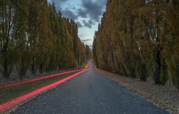 Wallpaper road, trees, lights for mobile and desktop, section пейзажи ...