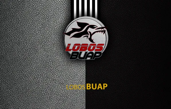 Wallpaper wallpaper, logo, football, Sport, Lobos BUAP for mobile and ...