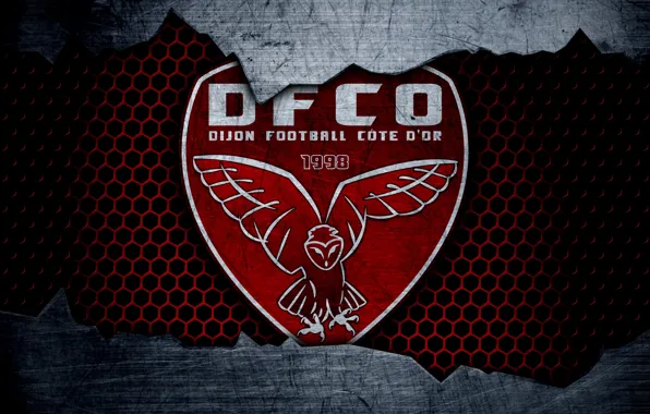Download wallpaper wallpaper, sport, logo, football, Dijon, section ...