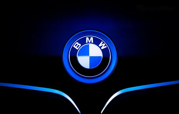 Wallpaper icon, BMW, the hood, BMW, front, E46, label, grille, Jun Dang ...