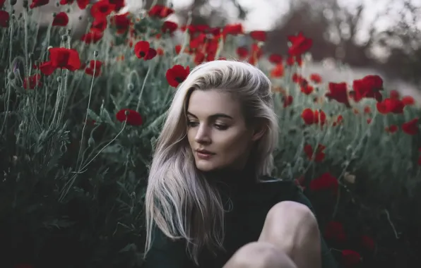 Wallpaper girl, flowers, Megan for mobile and desktop, section девушки ...