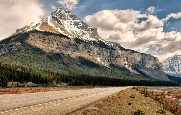 Wallpaper trees, mountain, Banff National Park, Banff national Park ...