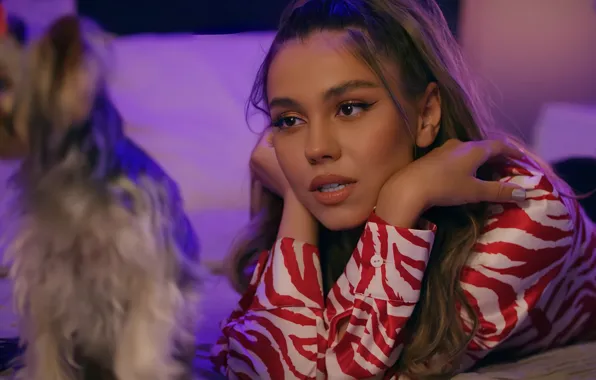 Download wallpaper girl, puppy, dog, singer, artist, pose, pet, yorkie ...