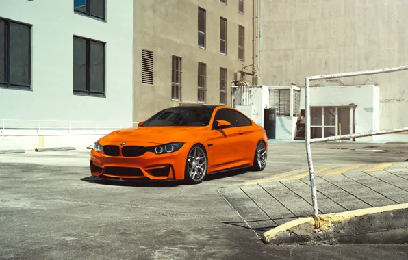 Wallpaper F82, Fire Orange, M4 images for desktop, section bmw - download