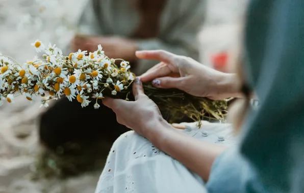 Wallpaper Summer Girl Flowers Chamomile Hands Bokeh For Mobile And