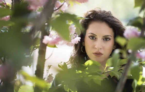 Wallpaper girl, face, background, hair, Clear for mobile and desktop ...