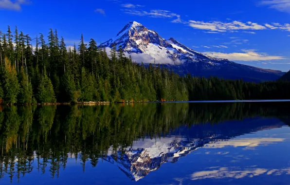 Download wallpaper forest, nature, lake, mountain, Hood, section nature ...