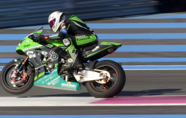 Download wallpaper kawasaki, ninja, Paul Ricard, 1000, boldor, zx10r ...