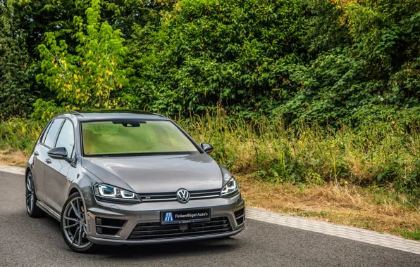 Wallpaper volkswagen, Golf images for desktop, section volkswagen ...