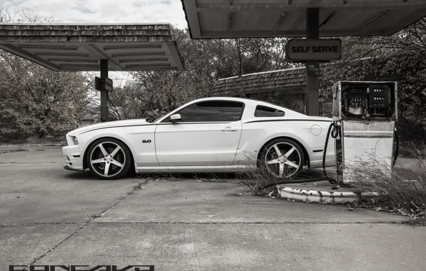 Wallpaper machine, auto, Mustang, Ford, dressing, auto, Black, side ...