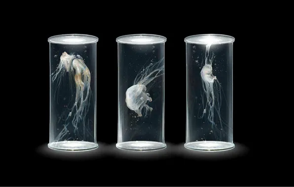 Wallpaper bubbles, clone, laboratory, tubes, the embryo, in the dark ...