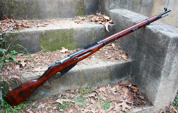 Wallpaper weapon, russian, rifle, bolt, mosin, 1891/30 for mobile and ...