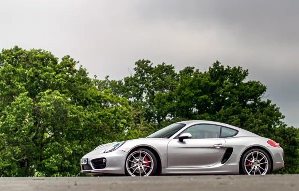 Wallpaper Porsche, Cayman, silver, trees for mobile and desktop ...