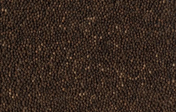 Download wallpaper food, polka dot, pepper, seasoning, Spices, black ...