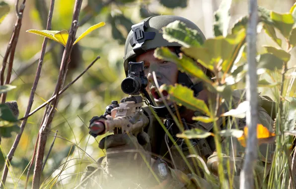 Download wallpaper weapons, army, soldiers, Australian Army, section ...