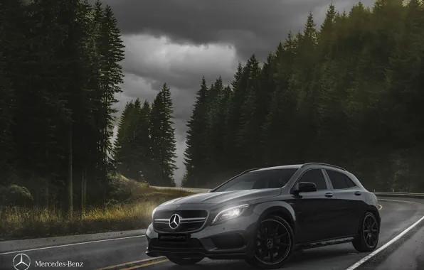 Wallpaper car, mercedes, forest, mercedes-benz, road, sky, jungle, benz ...