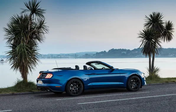 Wallpaper Mustang, Ford, rear view, 2018, Convertible, EcoBoost for ...