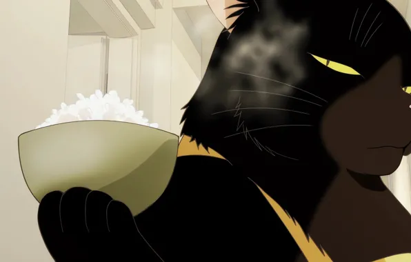 Wallpaper cat, Anime, Yukichi for mobile and desktop, section арт ...