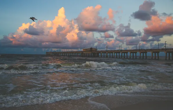 Wallpaper the sky, foam, sunset, birds, the ocean, pierce, surf, life's ...