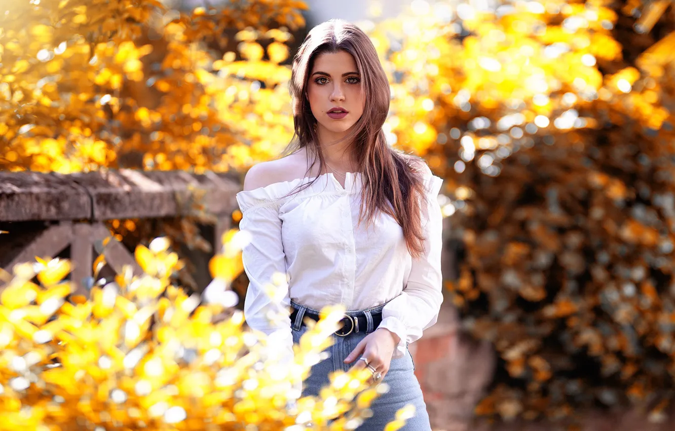 Wallpaper Autumn Look Leaves The Sun Trees Park Model Portrait