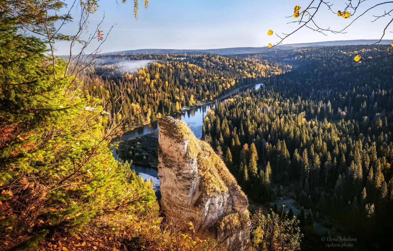 Wallpaper colors, forest, river, wonderful for mobile and desktop ...