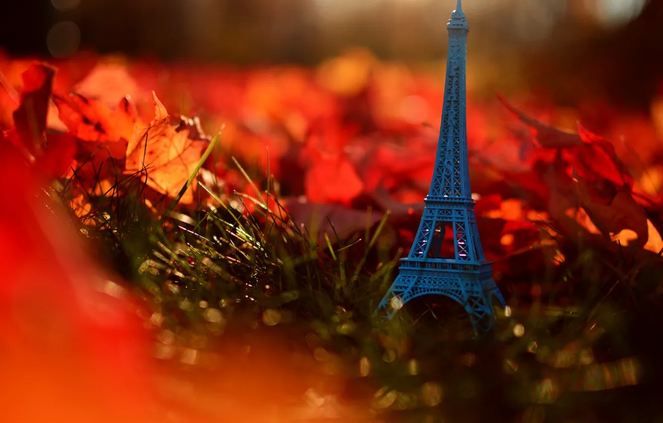 Wallpaper autumn, grass, leaves, nature, France, Paris, Eiffel tower ...