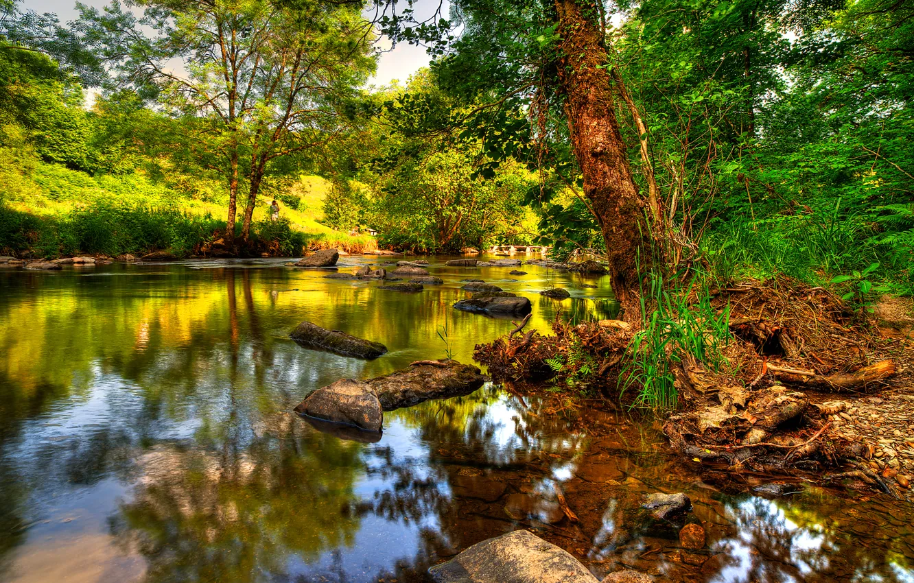 Wallpaper trees, lake, reflection, river, stones, Exmoor, Exmoor images ...