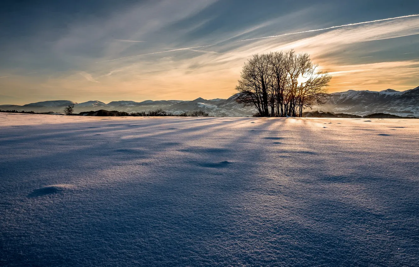 Wallpaper cold, winter, snow, morning for mobile and desktop, section ...